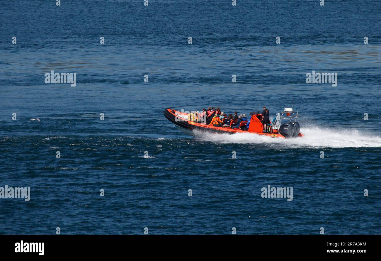 Viking Explorer tour, on a high speed rib inflatable speedboat.Ramsey ...
