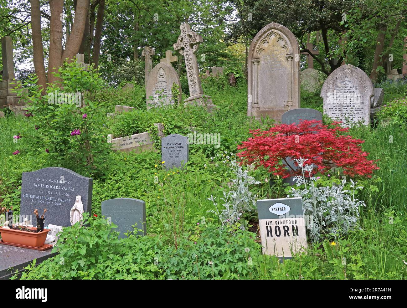 Corin william redgrave hi-res stock photography and images - Alamy