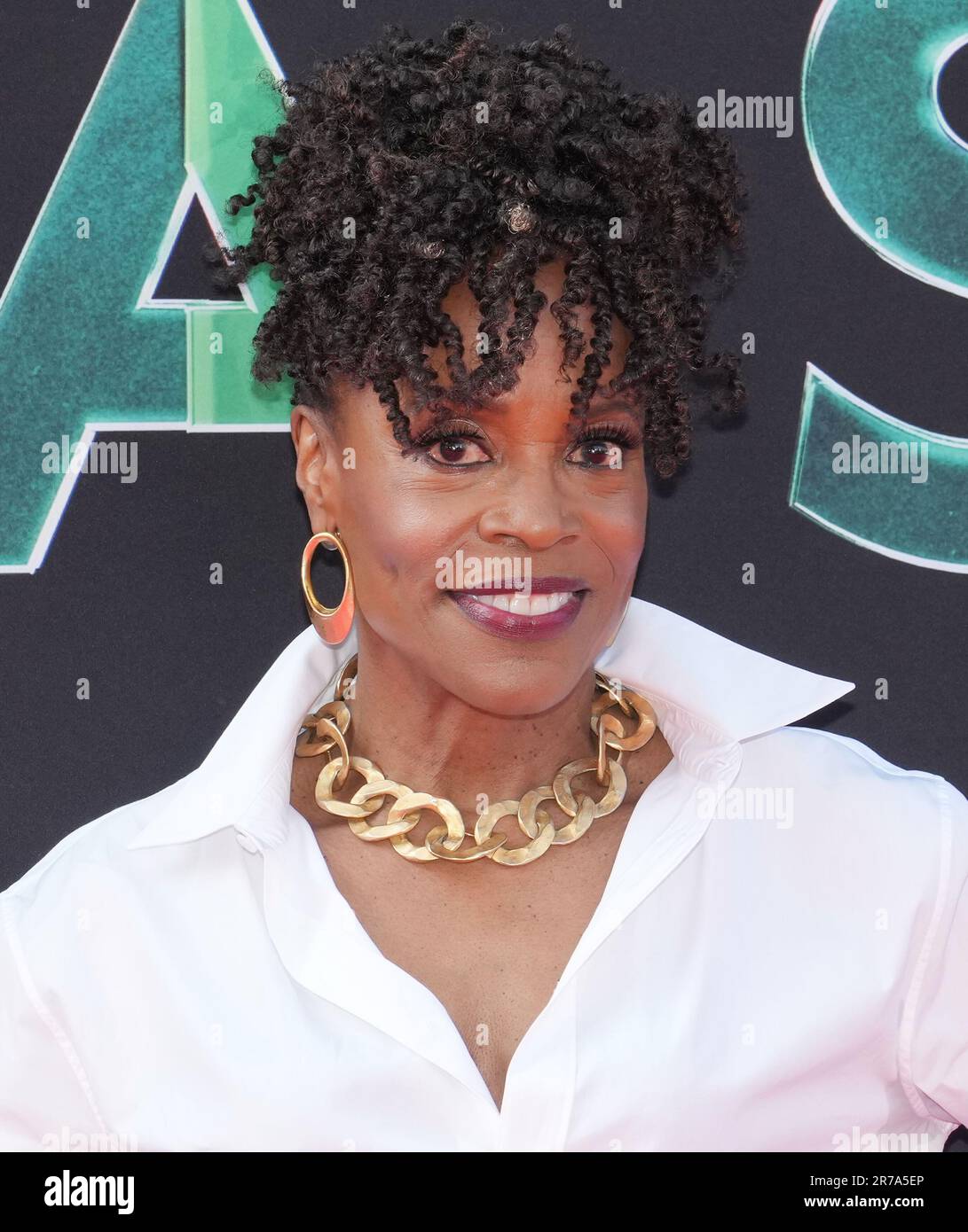 Charlayne Woodard arrives at the Marvel Studios' SECRET INVASION Launch ...