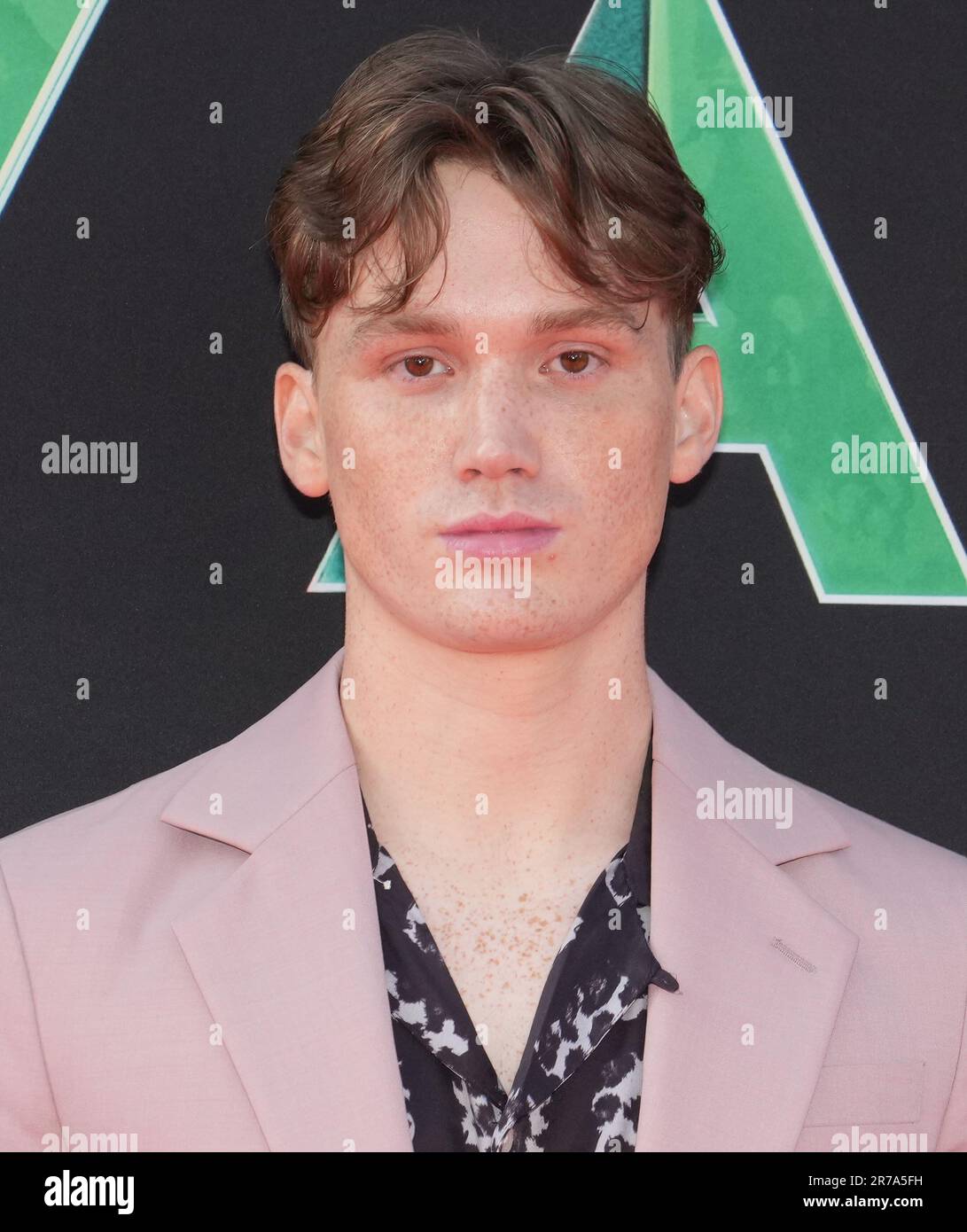 Matt Lintz arrives at the Marvel Studios' SECRET INVASION Launch Event held at the El Capitan ...