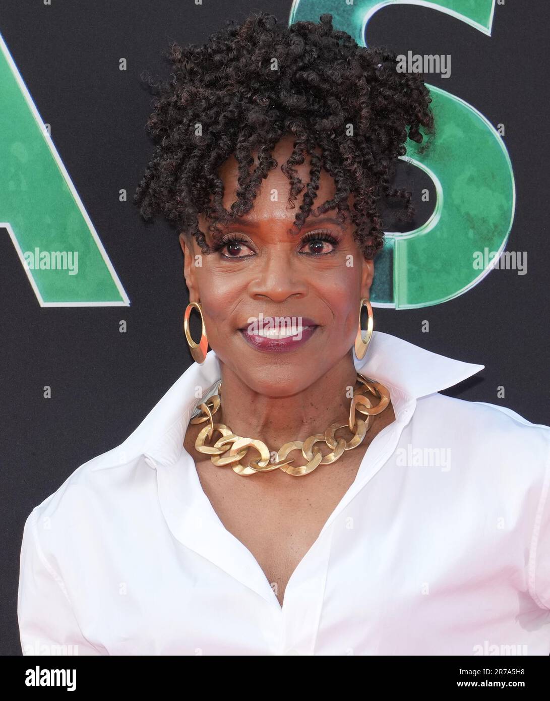 Charlayne Woodard arrives at the Marvel Studios' SECRET INVASION Launch ...