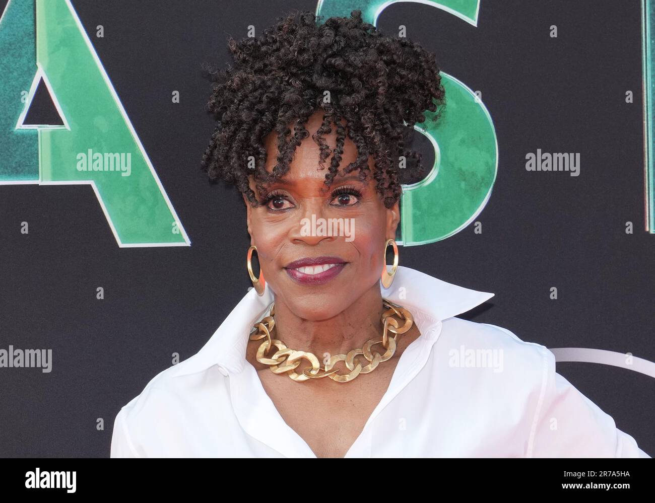 Charlayne Woodard arrives at the Marvel Studios' SECRET INVASION Launch ...