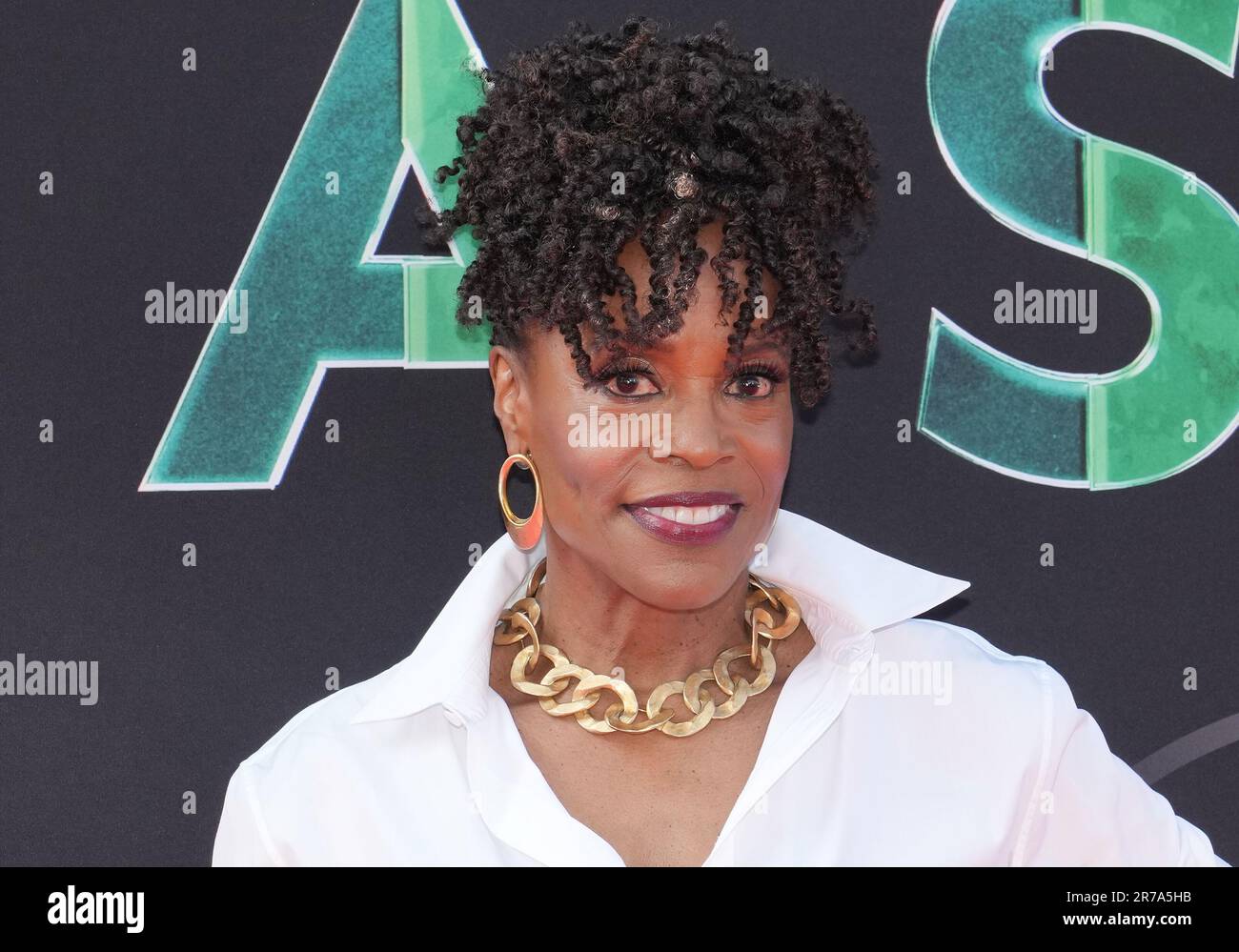 Charlayne Woodard arrives at the Marvel Studios' SECRET INVASION Launch ...