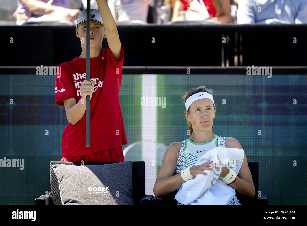 Libema open kingphotography hi-res stock photography and images - Alamy