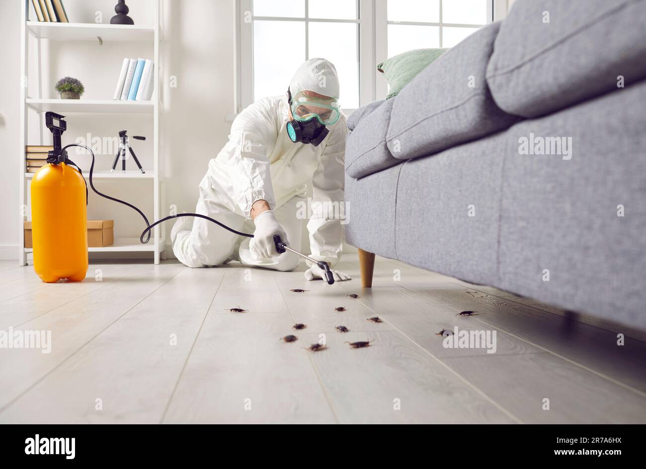 Pest control exterminator in protective suit killing cockroaches ...