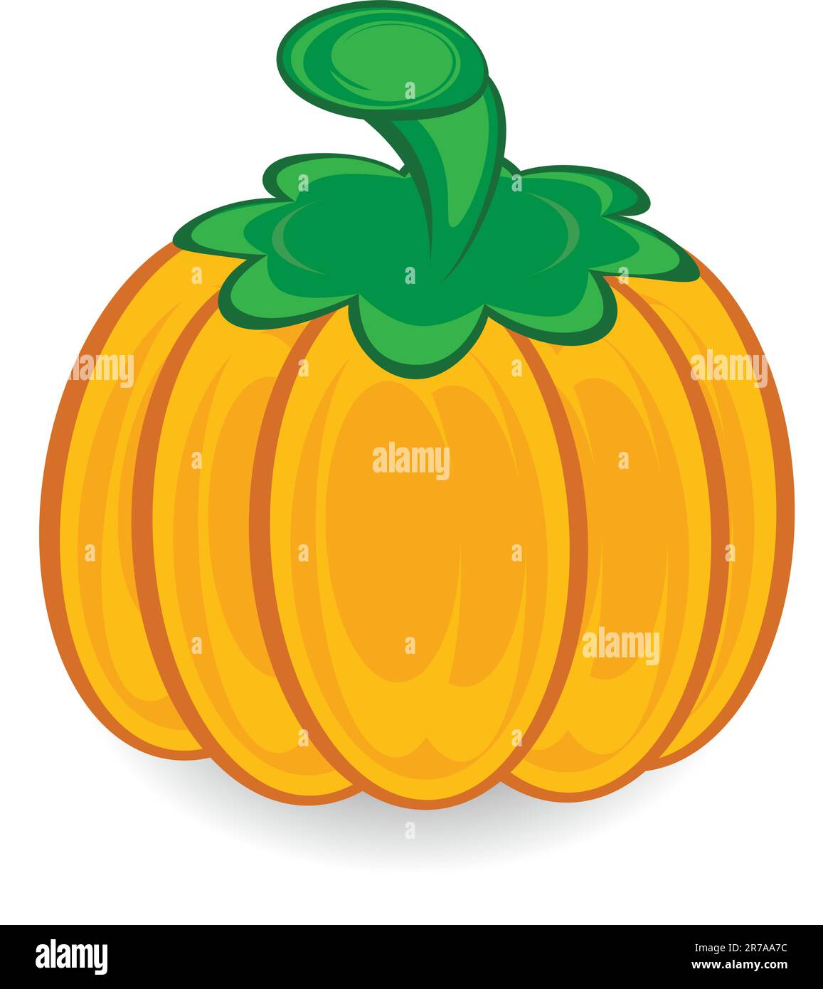 Yellow green squash on Stock Vector Images - Alamy
