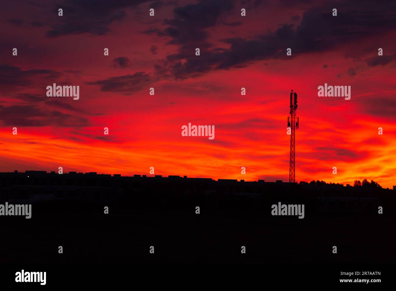 Red sunset sky very dramatic in north in the evening over forest and ...