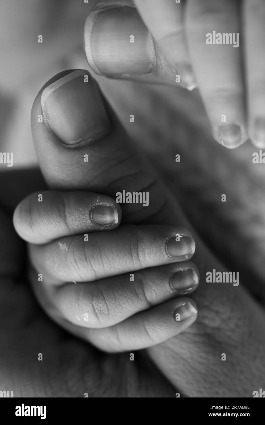 The newborn baby has firm grip on the parent's finger after birth. hand ...