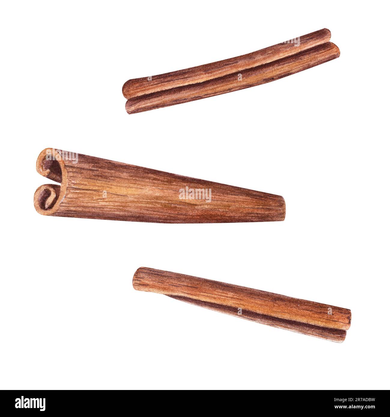 Dried Cinnamon Sticks isolated on white background. Nature raw organic ...