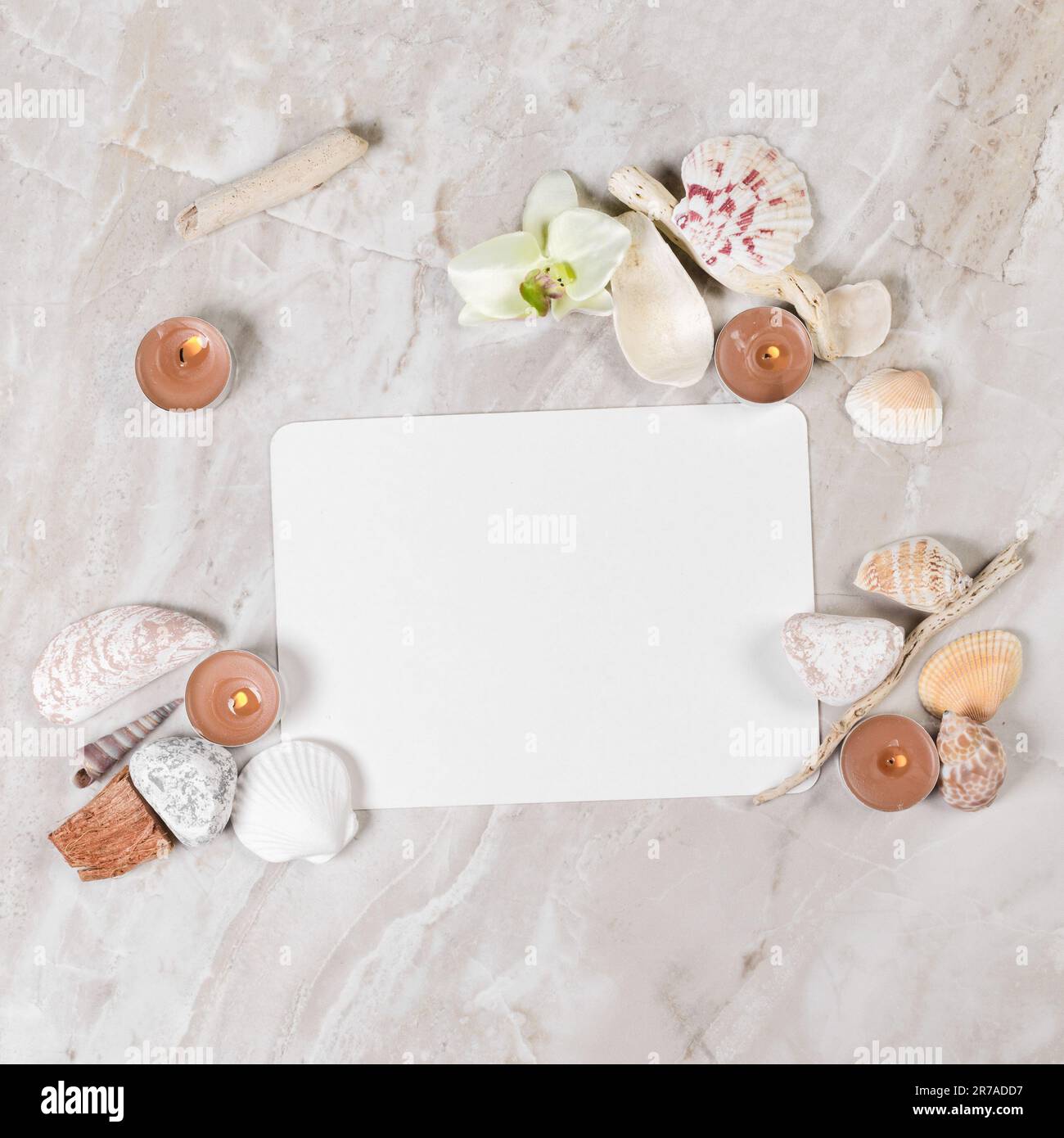 Frame from natural elements Stock Photo - Alamy