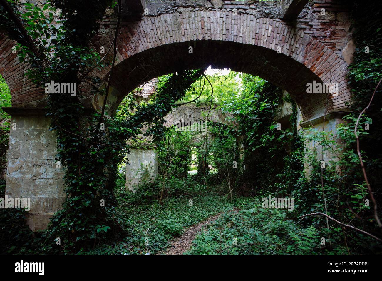 Old ruins of historical building overgrown by vegetation Stock Photo ...