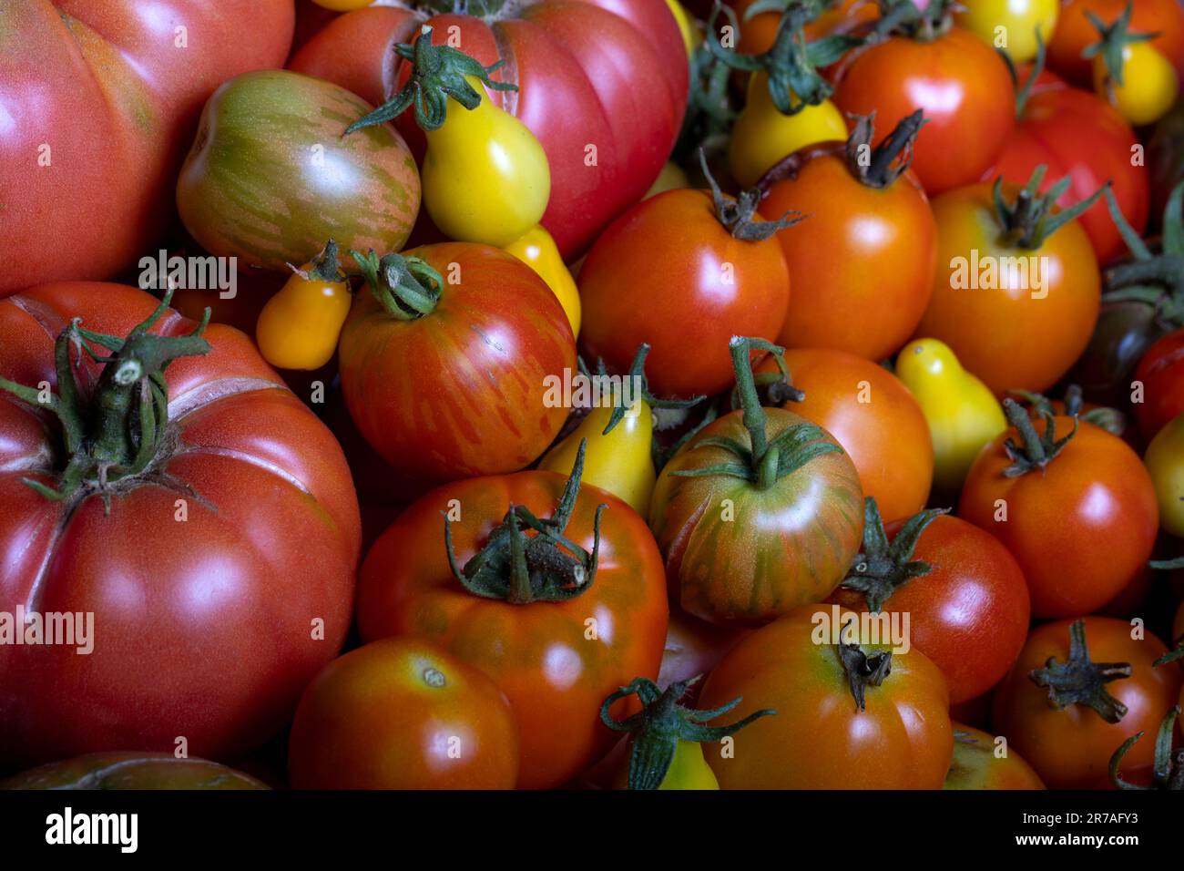 Garden fresh produce australia hi-res stock photography and images - Alamy