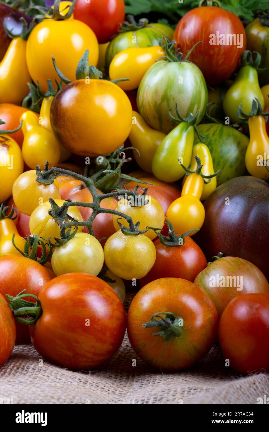 Victoria tomatoes hi-res stock photography and images - Alamy
