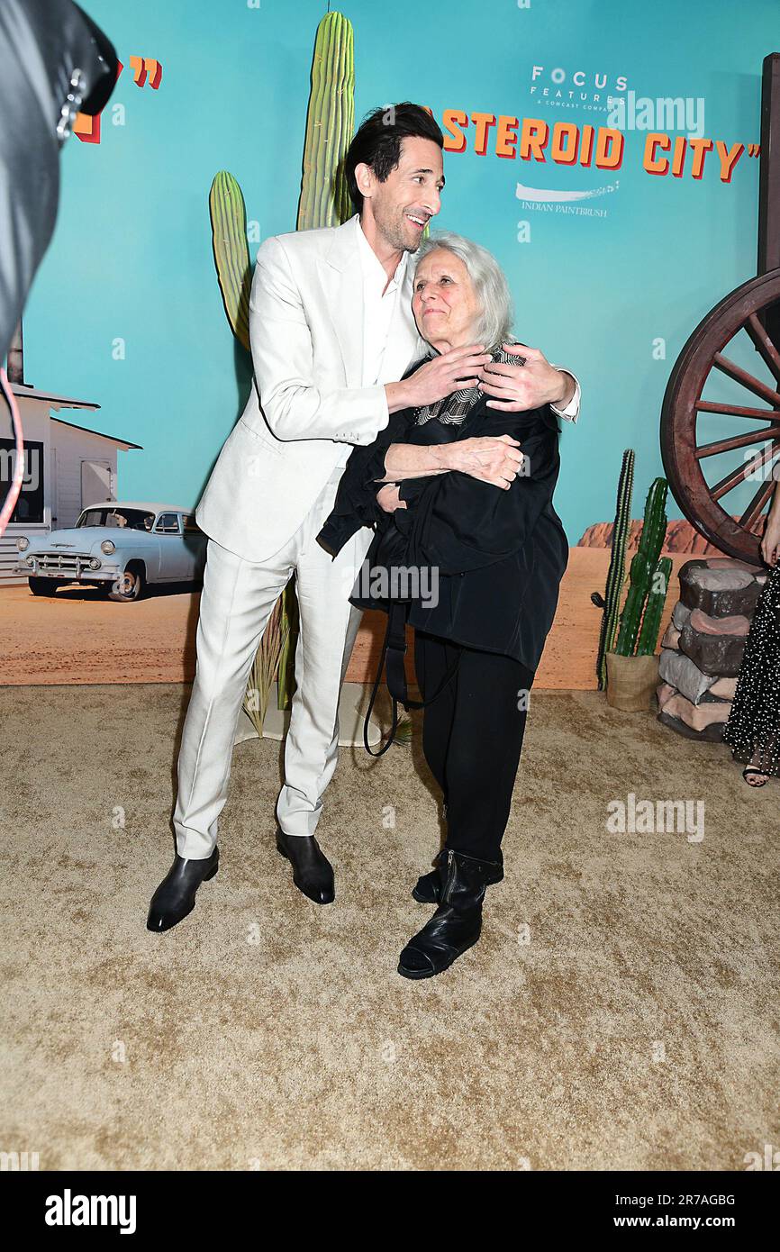 Adrien Brody and his mother Sylvia Plachy attend the New York Premiere ...