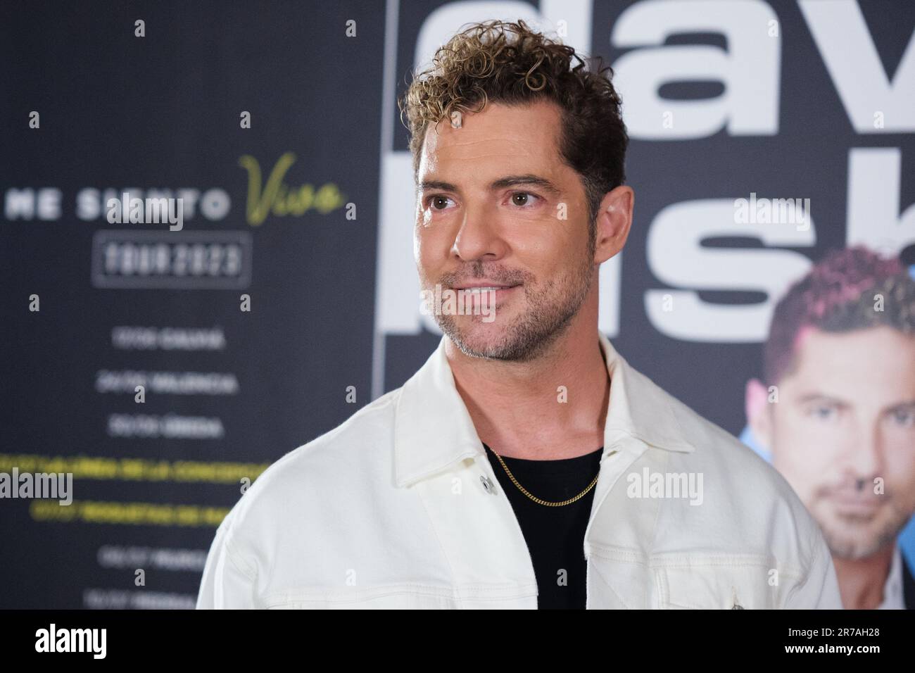 The singer David Bisbal during the photocall to present the tour 'I ...