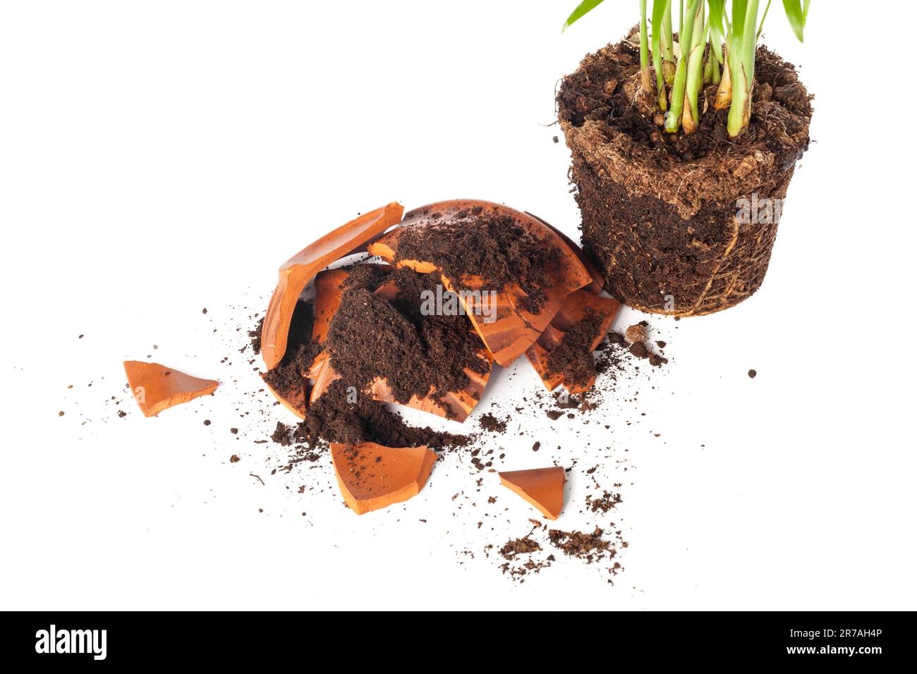 Broken pot plant Cut Out Stock Images & Pictures - Alamy