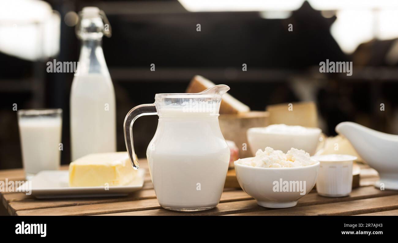 milk, cottage cheese, cream, cheese on table against background of cows ...