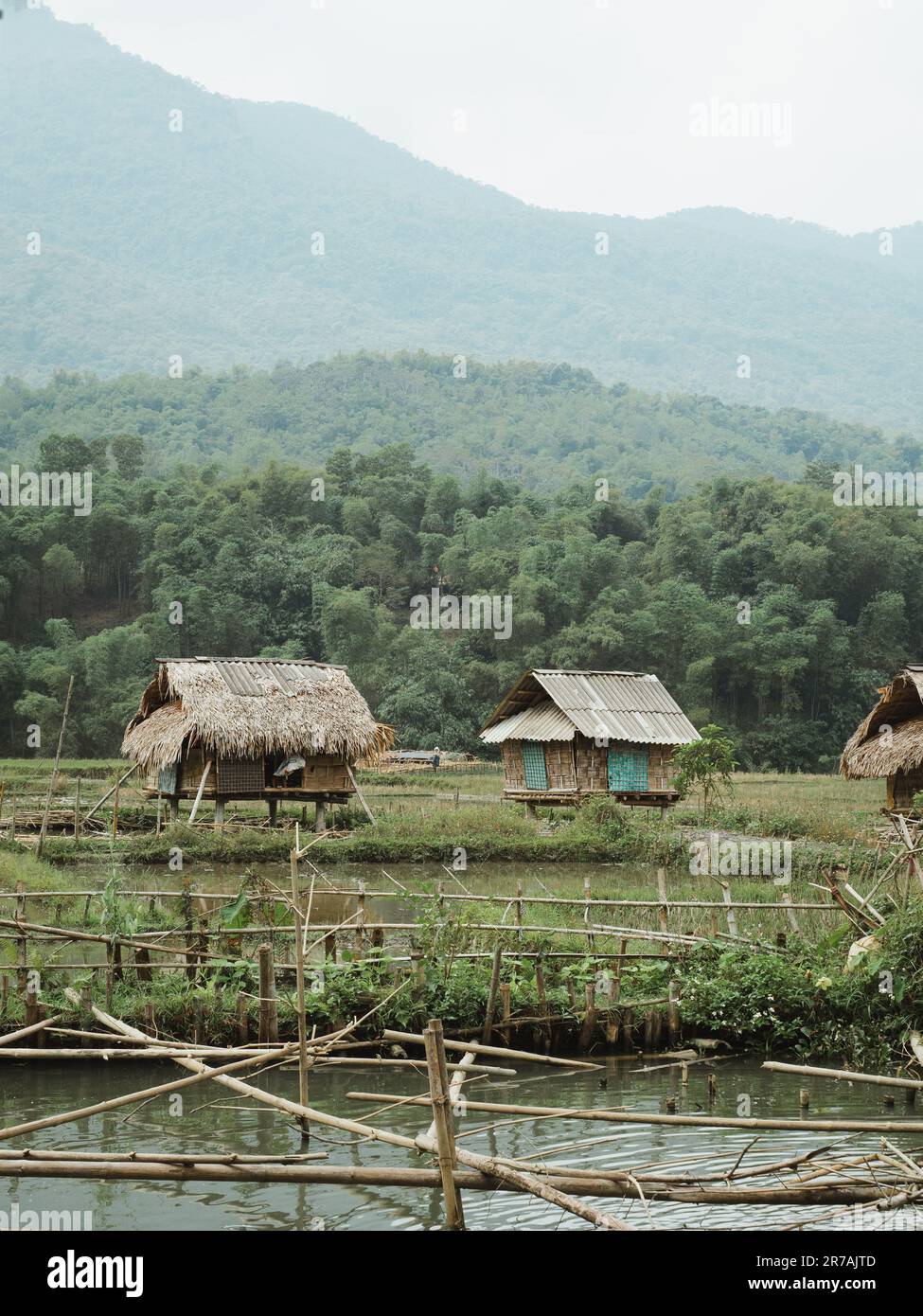 Surrounded by lush forests and rolling mountains hi-res stock ...