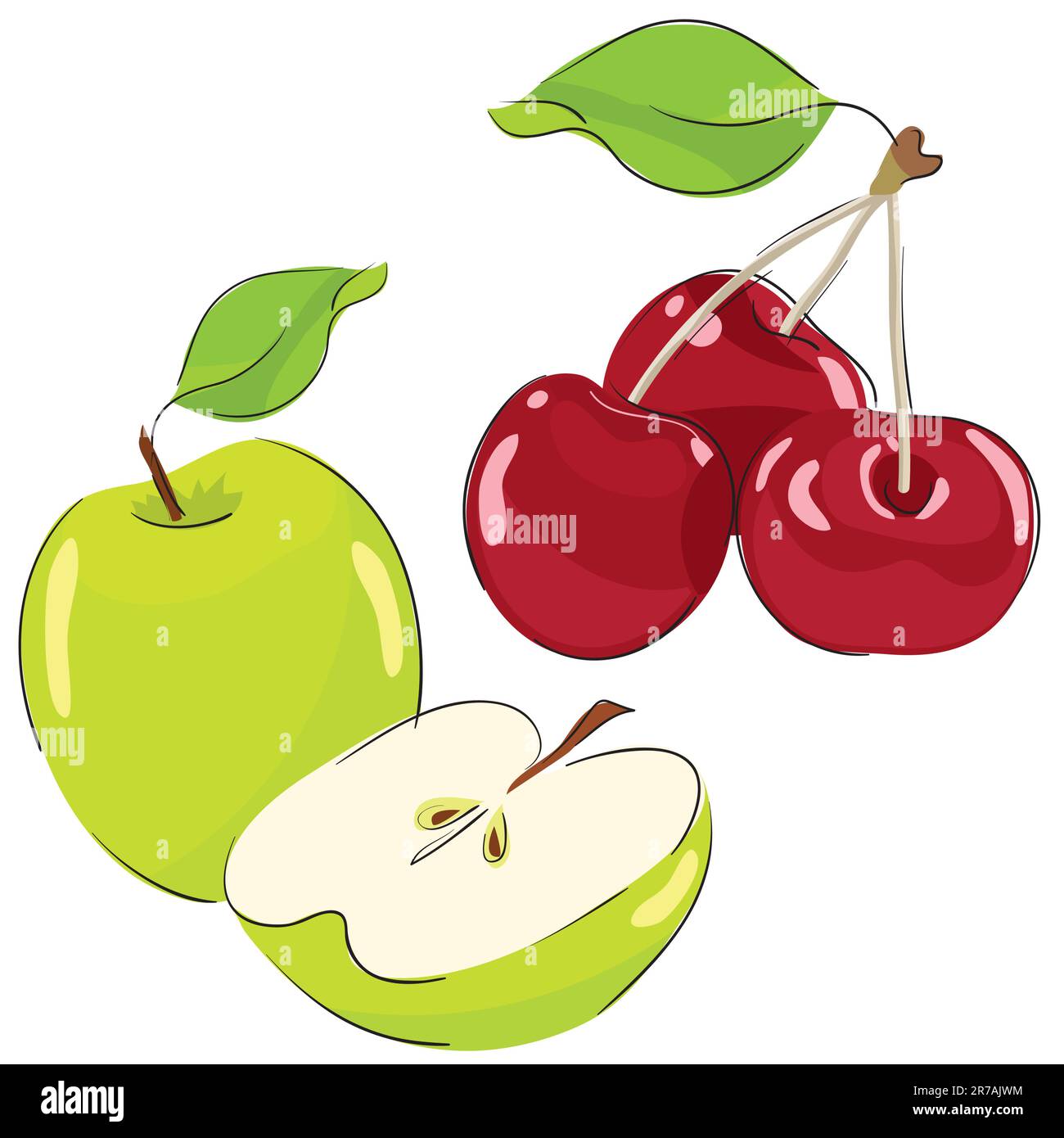collection of vector drawings. Apple and cherry Stock Vector Image ...