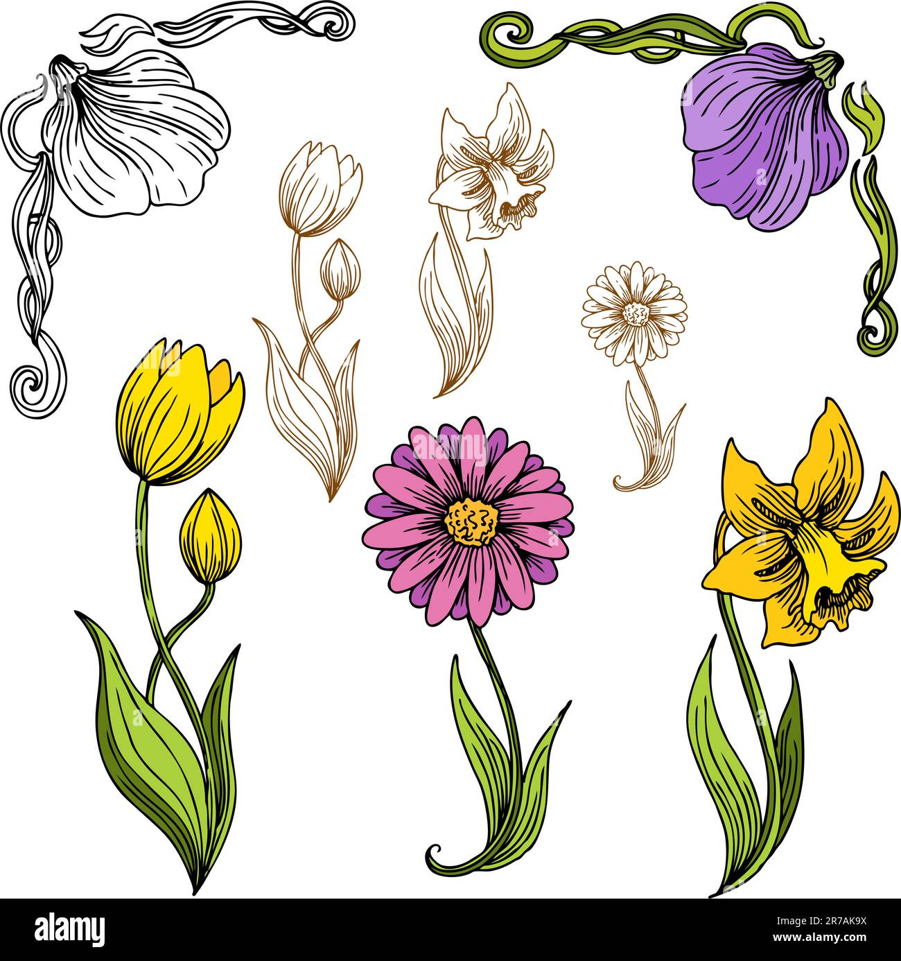 An image of a group of flowers Stock Vector Image & Art - Alamy