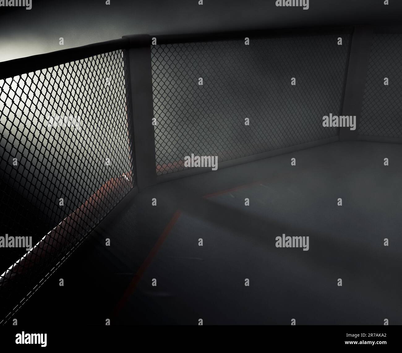 Mma Octagon Background