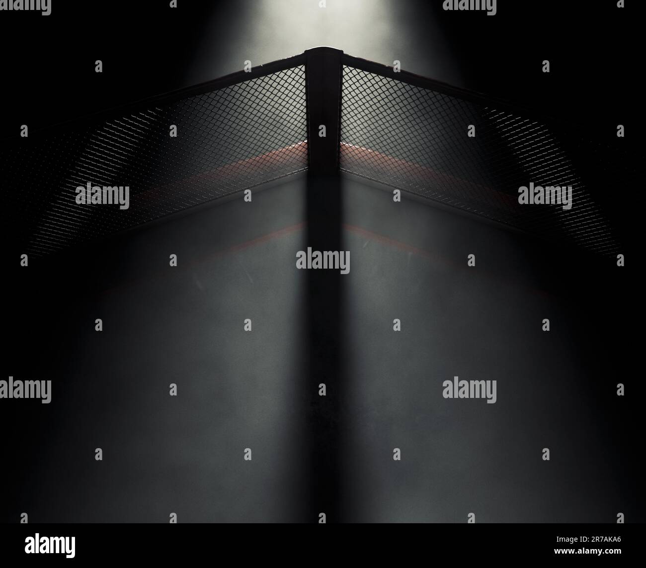 A dimly spotlit section of a mma octagon ring surrounded by wire mesh ...
