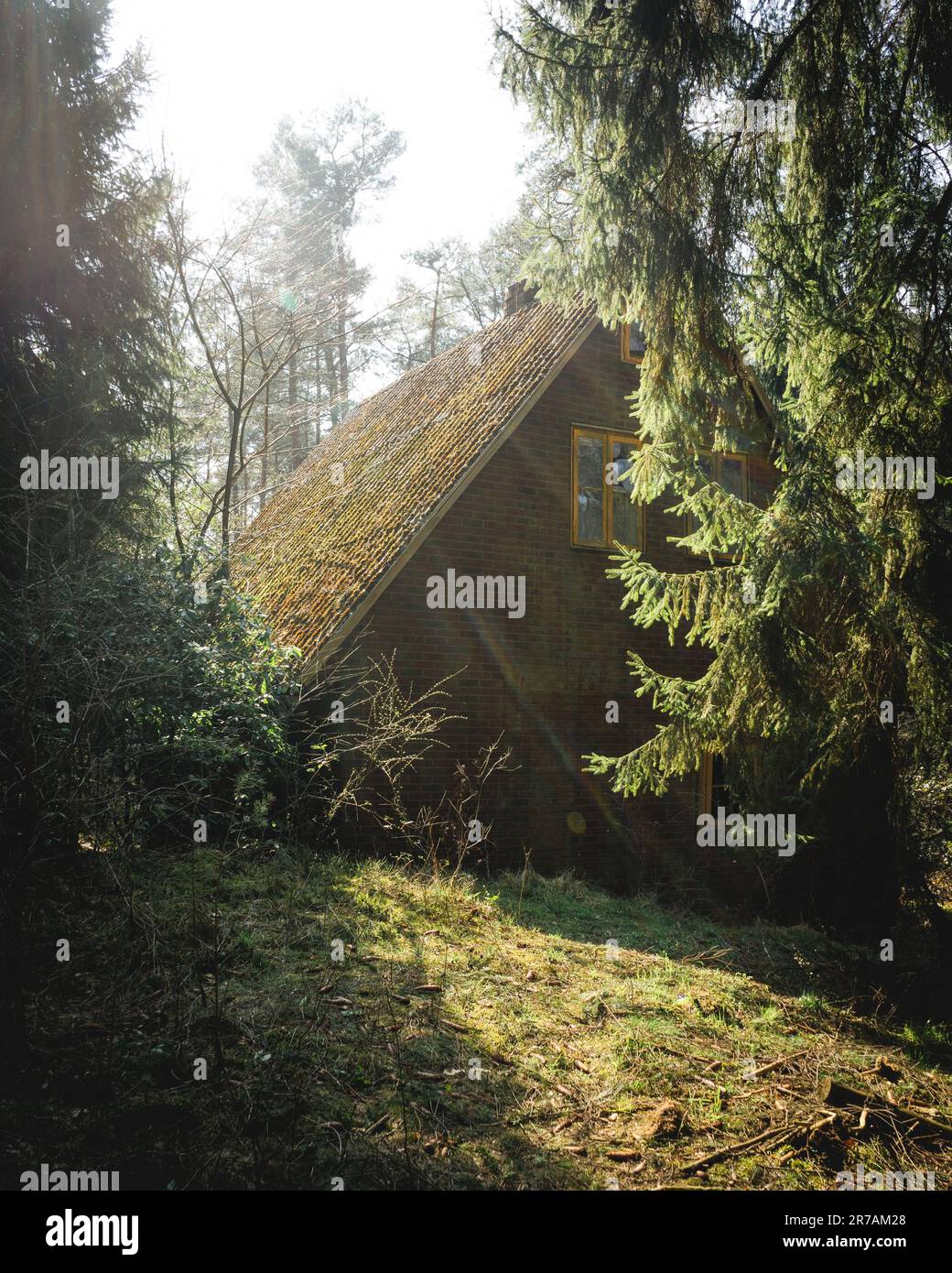 Old house in middle forest hi-res stock photography and images - Alamy