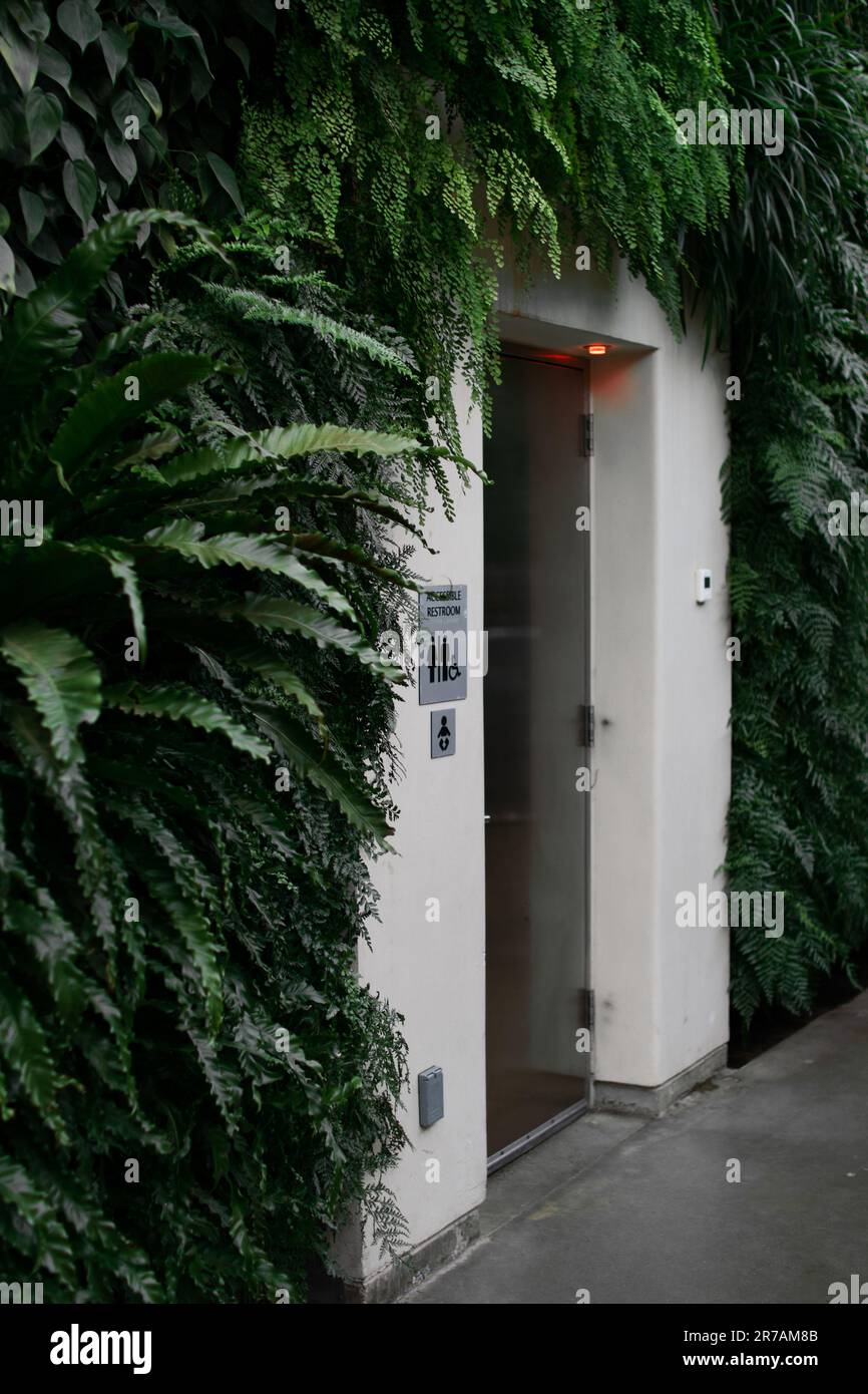 A vertical shot of an outdoor toilet door with ferns growing over it ...