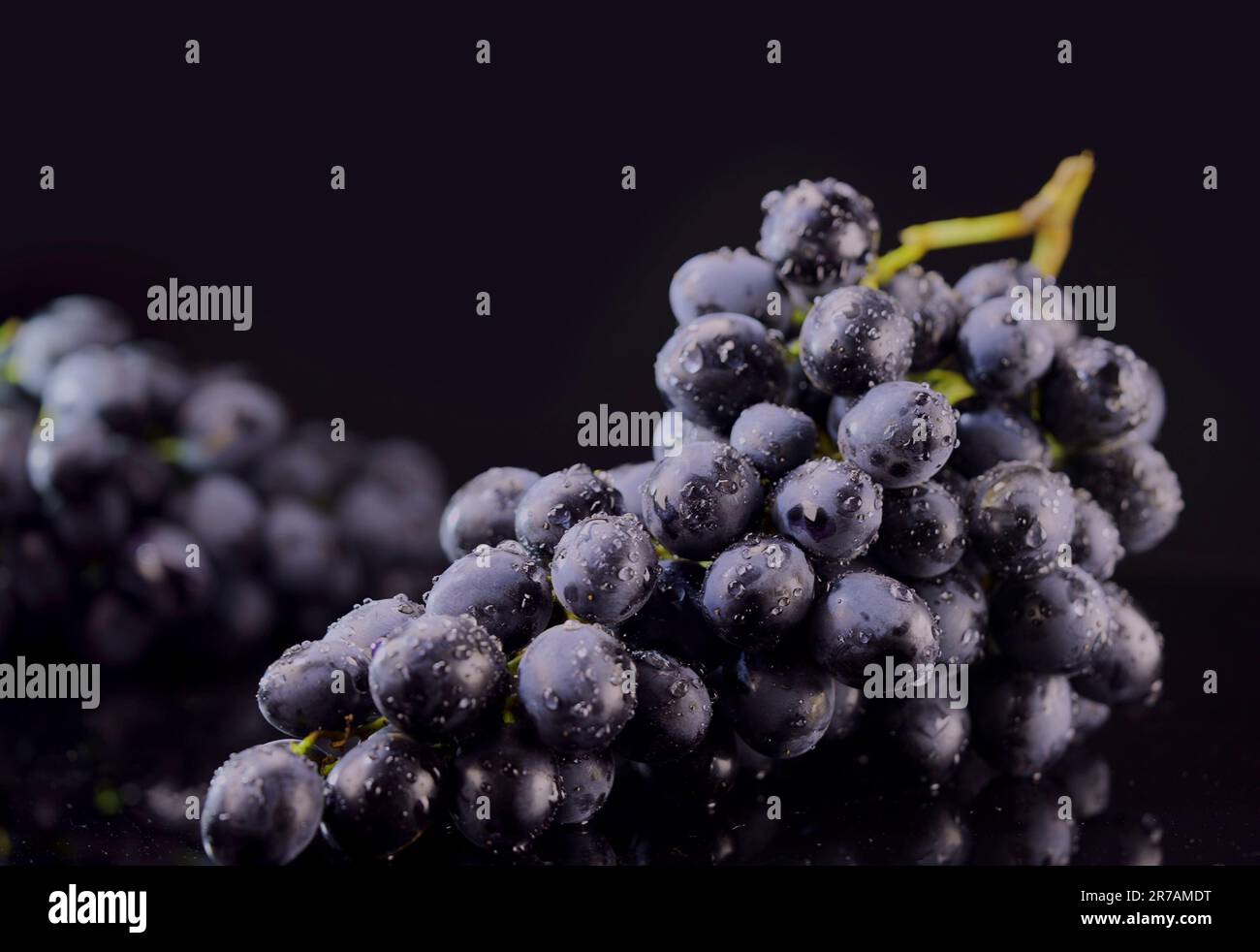 Details of fresh dark grapes with water drops, close-up Stock Photo - Alamy