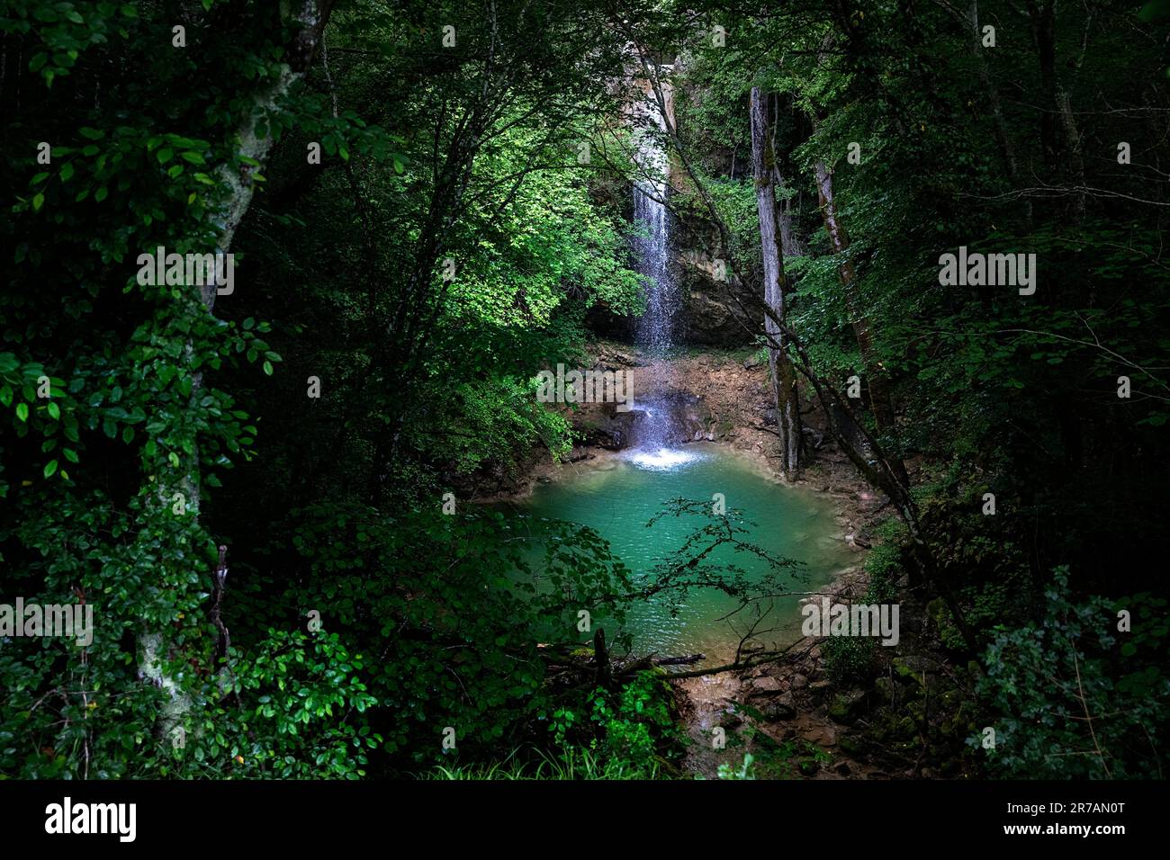 Butori hi-res stock photography and images - Alamy