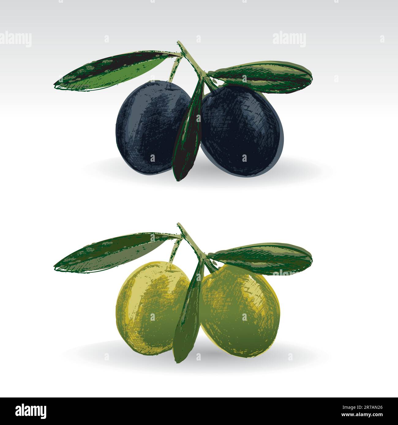 Green olives packaging Stock Vector Images - Alamy