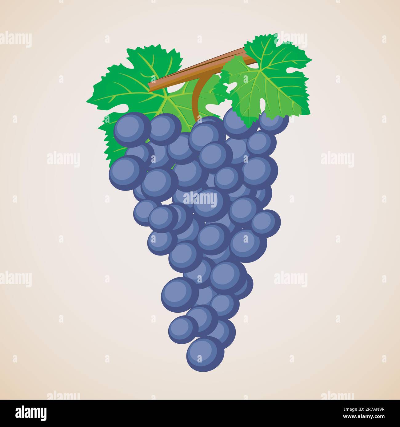 Close up hand fresh Stock Vector Images - Alamy