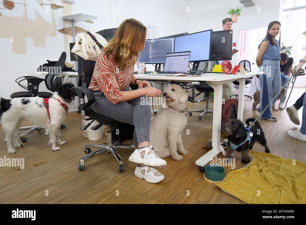 Action colleague dog hi-res stock photography and images - Alamy