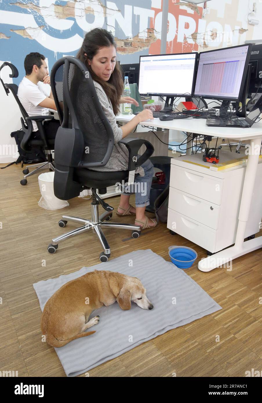 Berlin, Germany. 14th June, 2023. While Katherine Caro is sitting at her workplace at Contorion ...