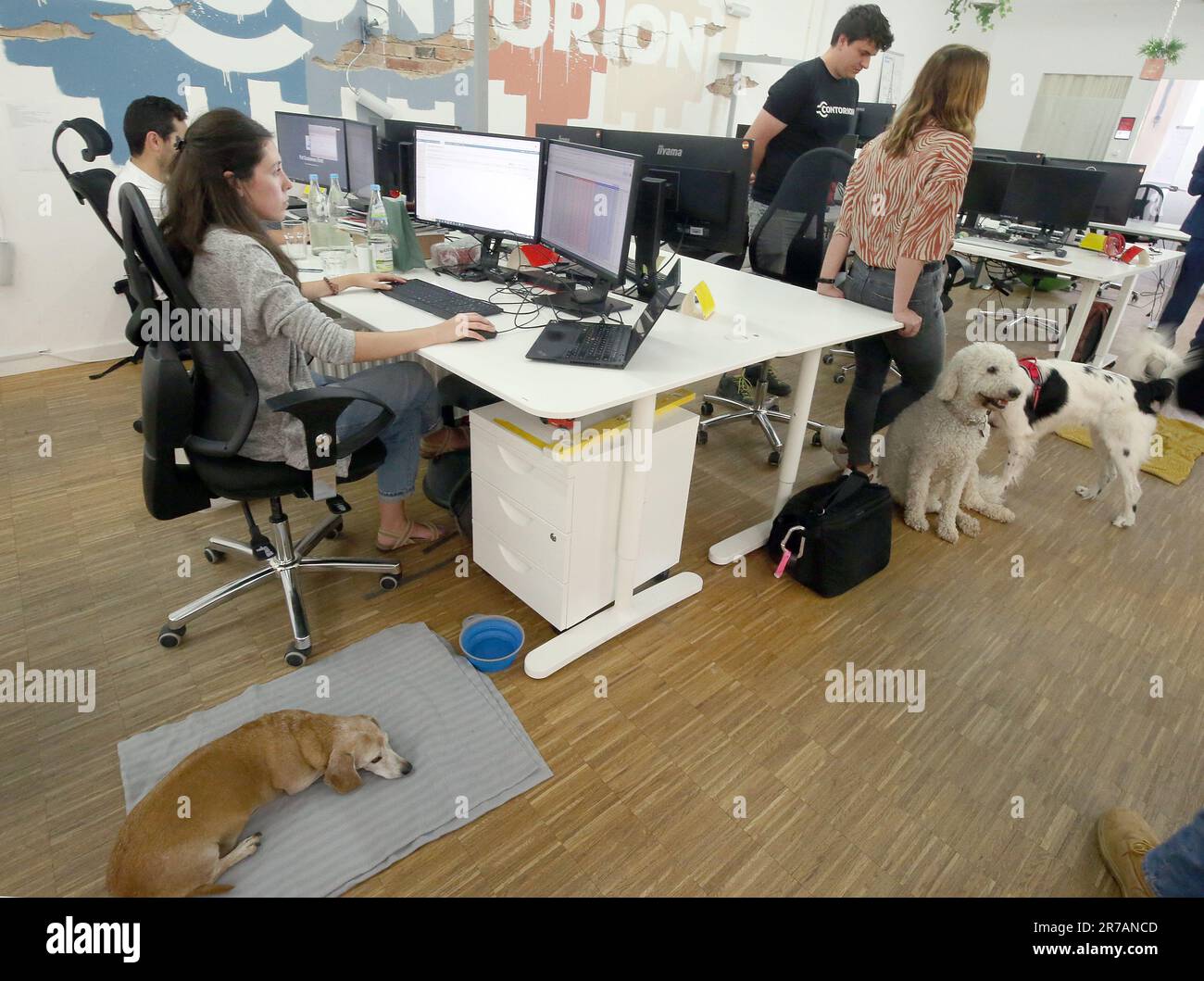 Berlin, Germany. 14th June, 2023. While Katherine Caro is sitting at her workplace at Contorion ...