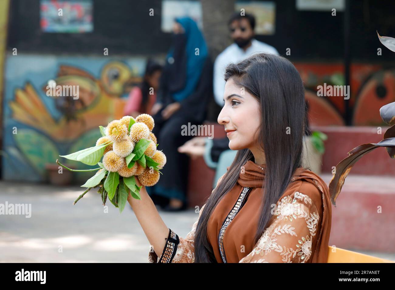 Dhaka, Bangladesh - June 14, 2023: The Burflower flower popularly known ...