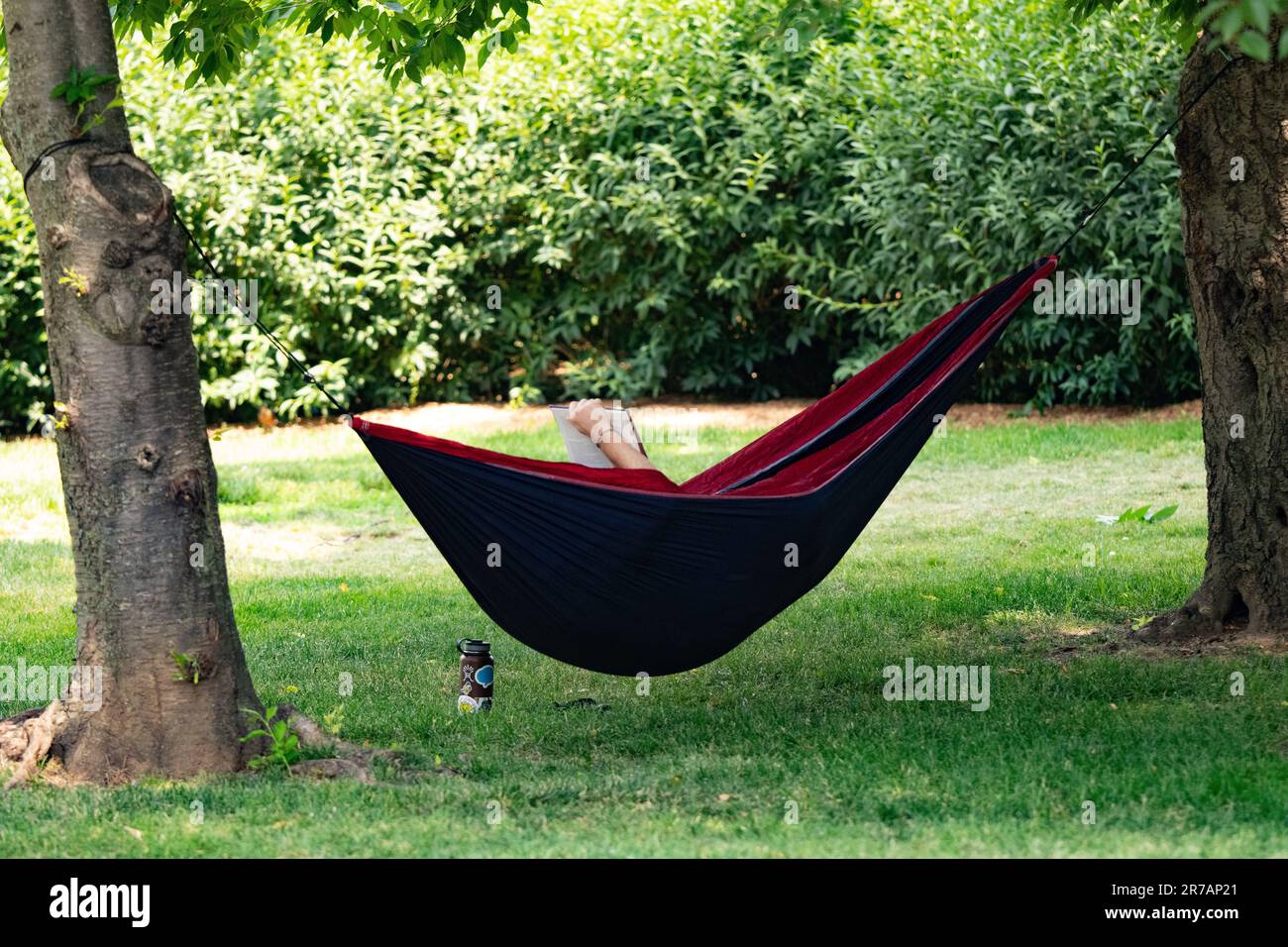 Reading book hammock united states hi-res stock photography and images ...