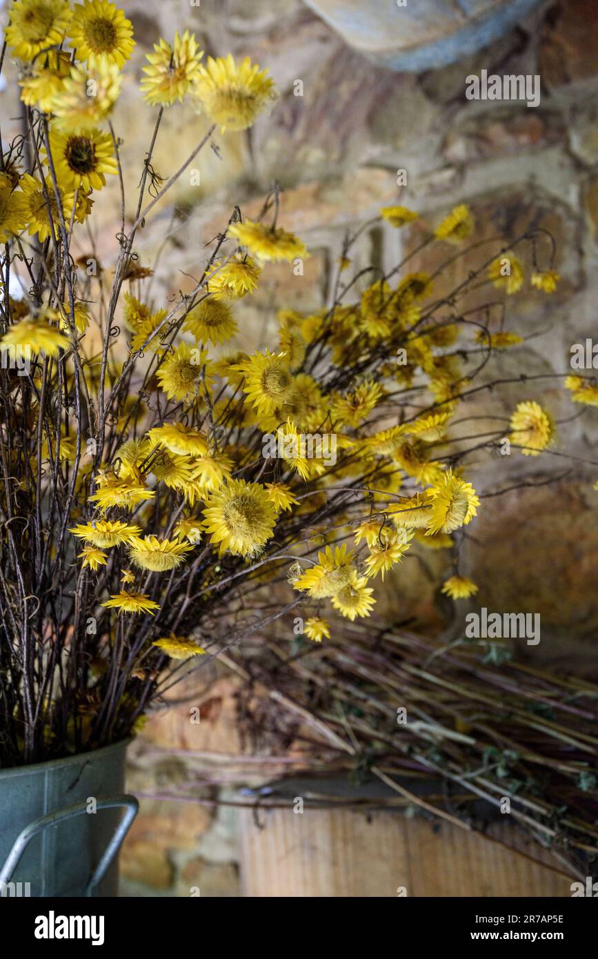 Still Life Vintage Farm Stock Photo - Alamy