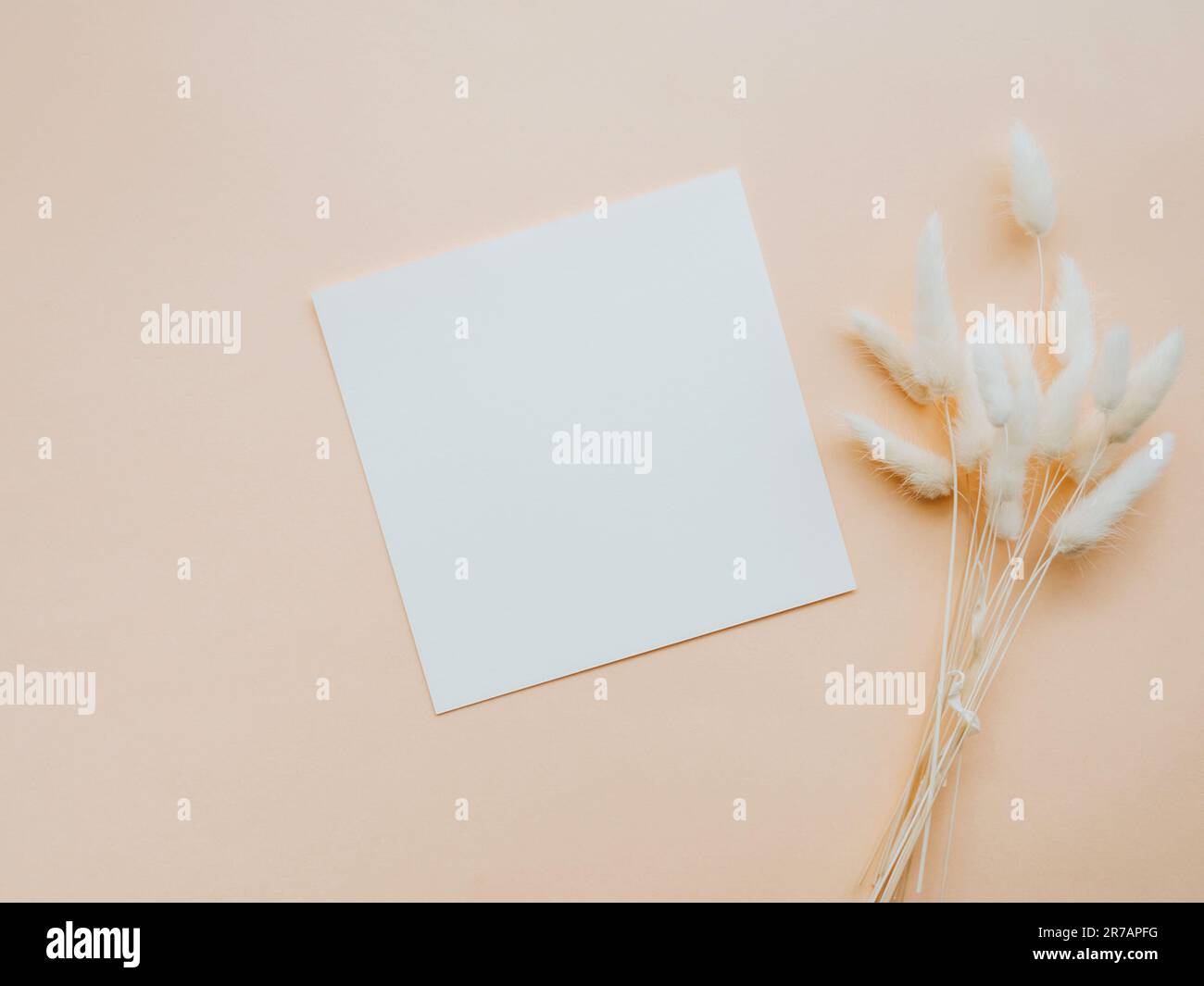 White blank paper square card mockup and dry floral branch on beige ...