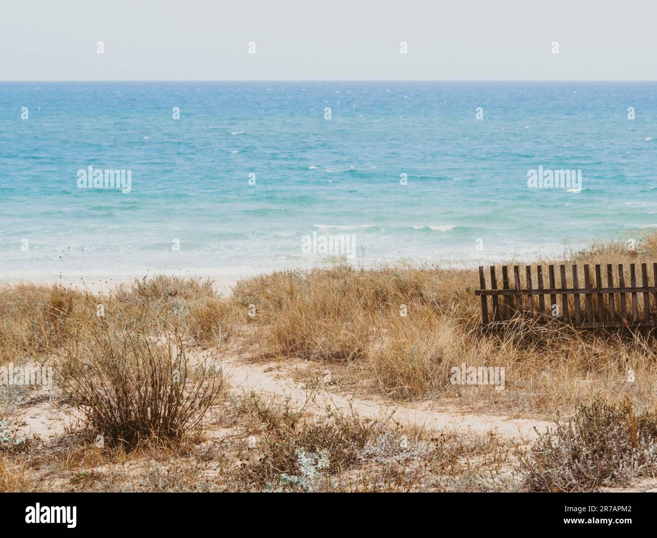 A narrow walking path to the ocean among sand dunes overgrown with ...