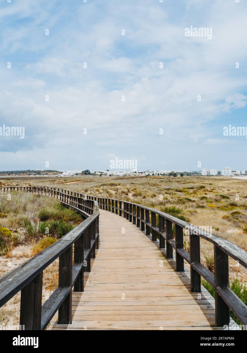 Overgrown dune landscape hi-res stock photography and images - Alamy