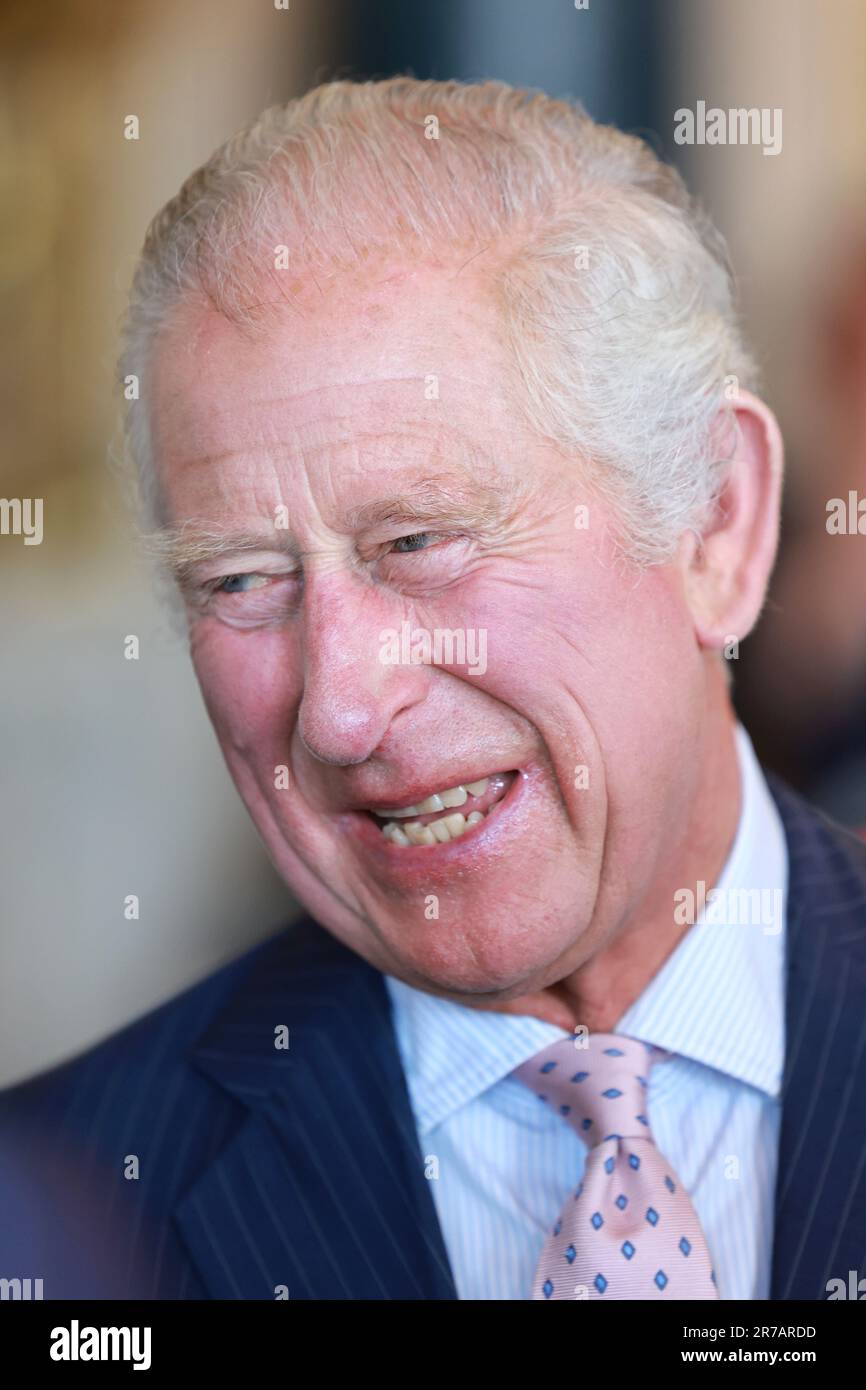 King Charles III during a reception at Buckingham Palace in London to ...