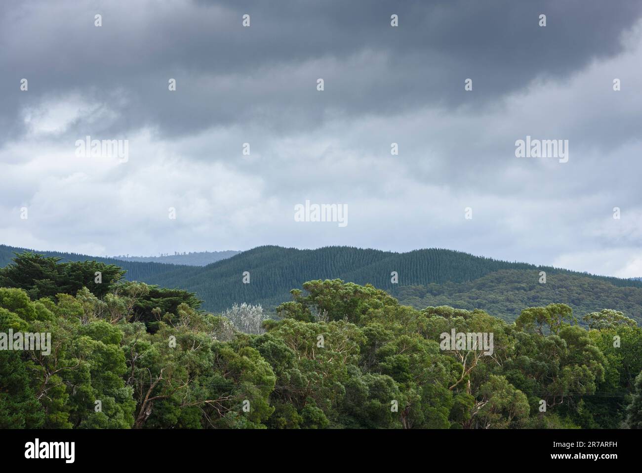 Landscape around Alexandra, Victoria, Australia Stock Photo - Alamy