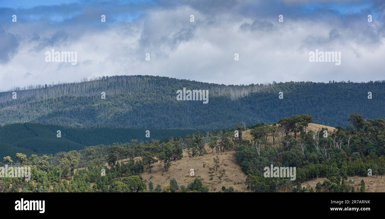 Landscape around Alexandra, Victoria, Australia Stock Photo - Alamy