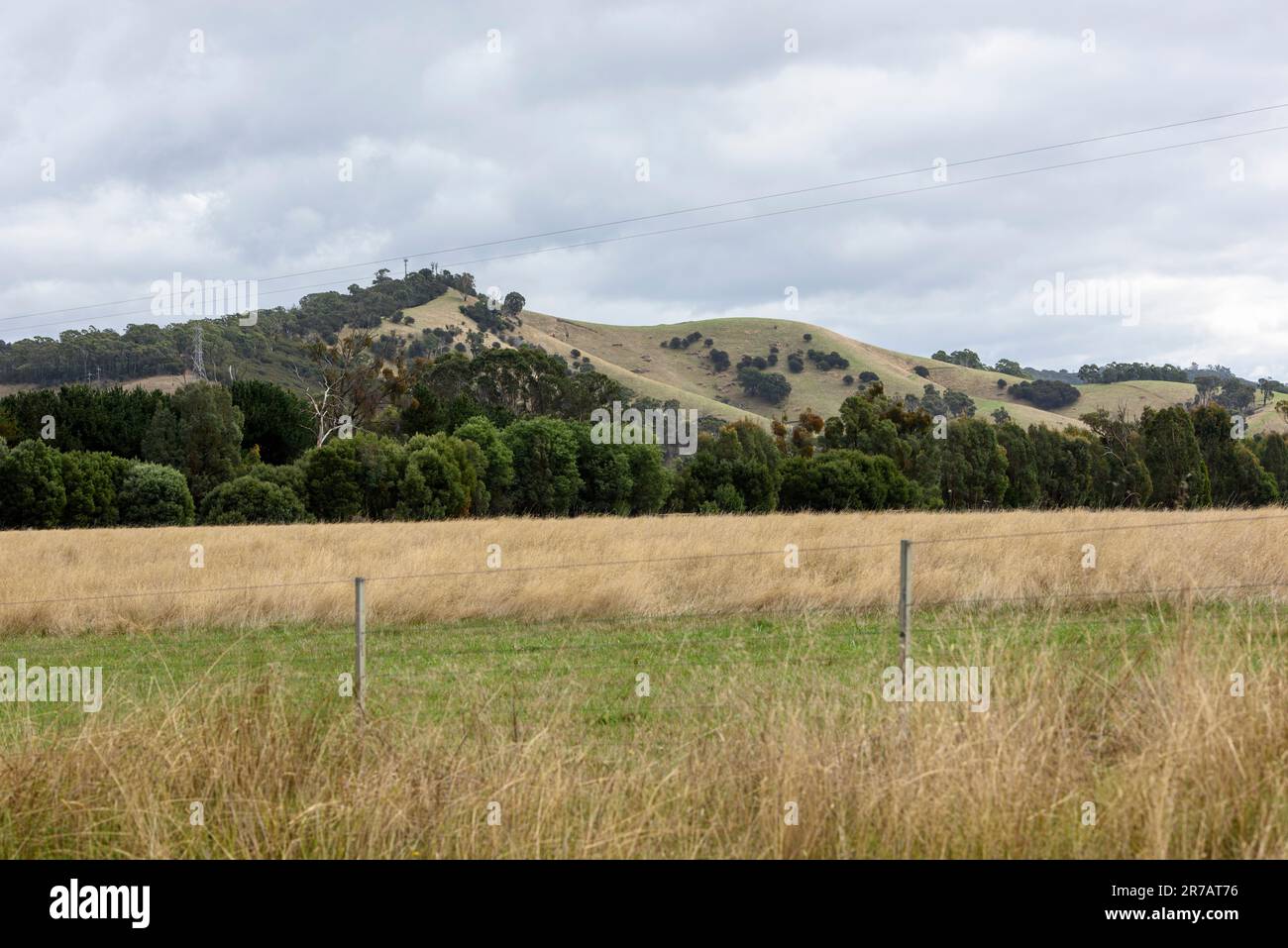 Landscape around Alexandra, Victoria, Australia Stock Photo - Alamy