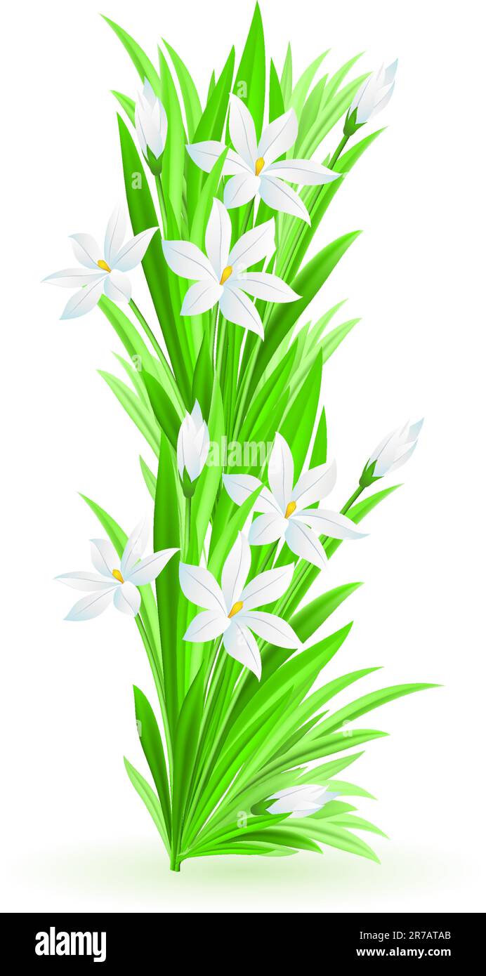 One letter of spring flowers alphabet - I. Illustration on white ...