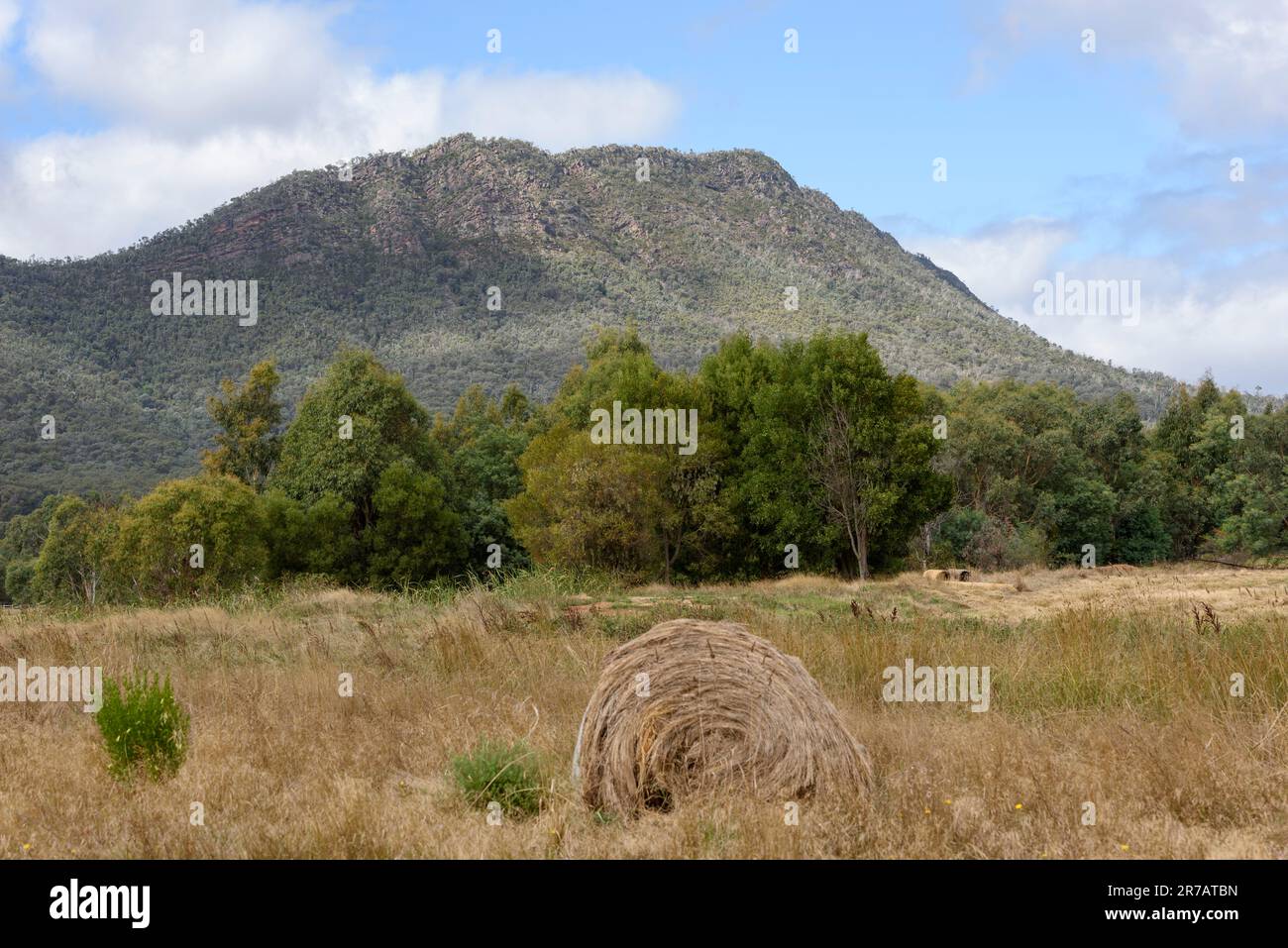 Landscape around Alexandra, Victoria, Australia Stock Photo - Alamy