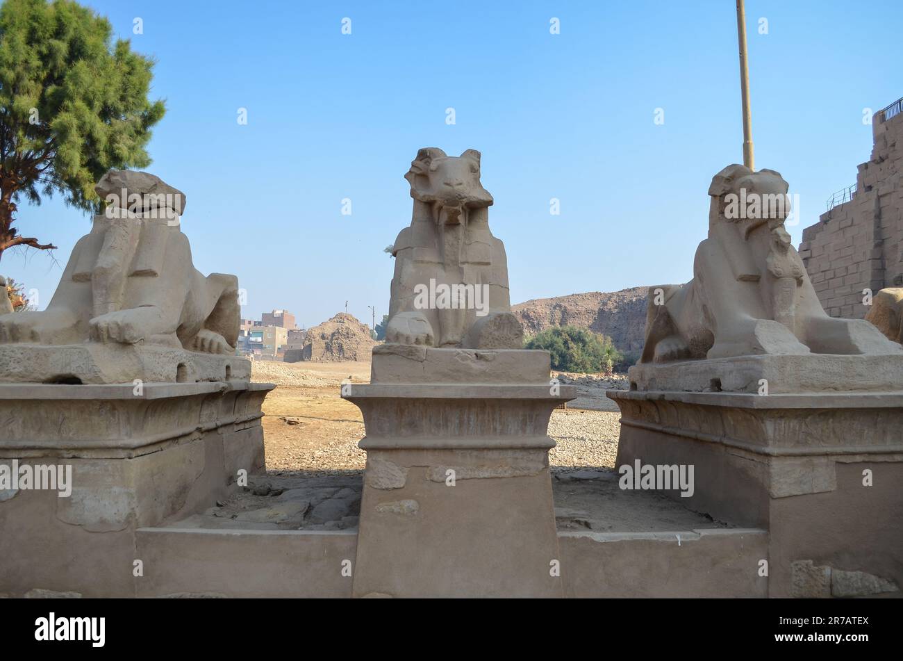 Ancient egyptian ram hi-res stock photography and images - Alamy