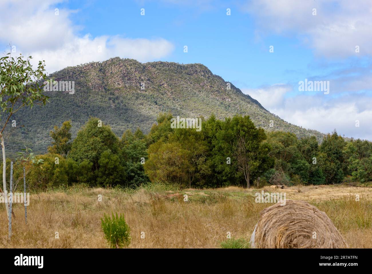 Landscape around Alexandra, Victoria, Australia Stock Photo - Alamy