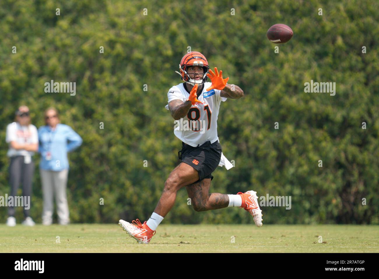 Cincinnati Bengals tight end Irv Smith Jr. (81) makes a catch during ...